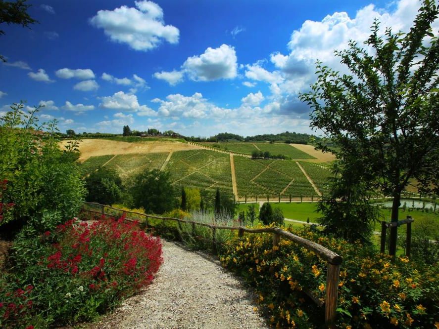 Wijndomein Monferrato - Piemonte (4 dagen) • Italmania